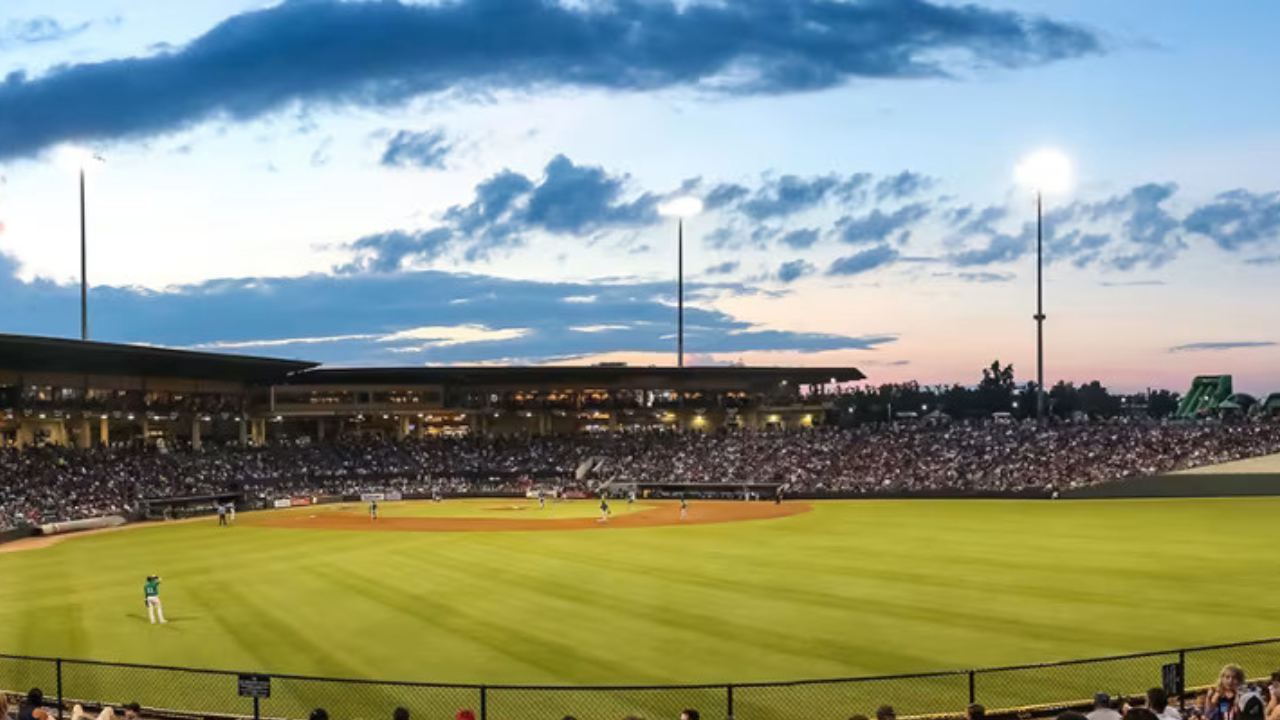 Starry Night at the Ballpark with the Gwinnett Stripers - Pediatric ...